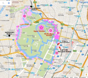 The Best Places To See Pink Rivers of Cherry Blossom Petals – Only In Japan