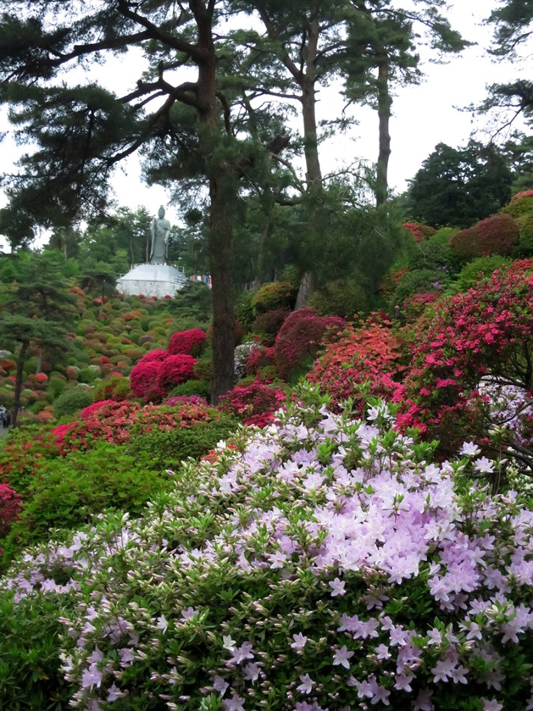 Where To See The Most Amazing Azaleas In Tokyo – Only In Japan