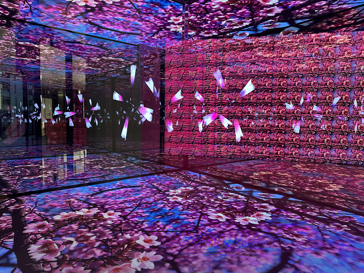 Alt Cherry – Only In Japan